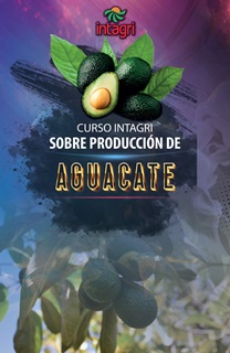 Curso Virtual INTAGRI sobre Producción de Aguacate - Inicio | Intagri S.C.
