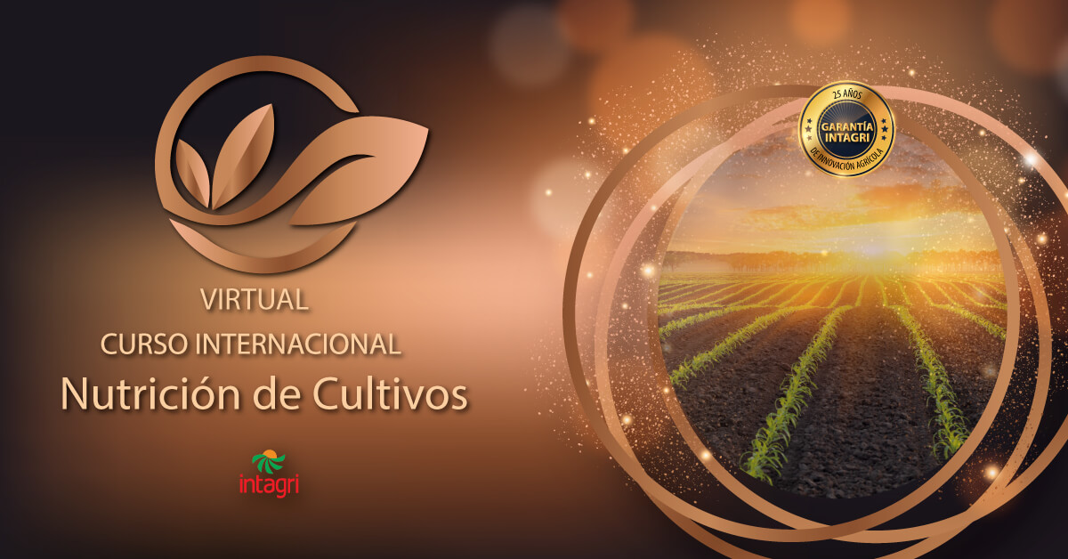 Curso Internacional de Nutrición de Cultivos Virtual 2022 - Información | Intagri S.C.