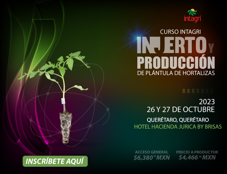 Curso INTAGRI sobre Injerto y Producción de Plántula de Hortalizas - Información | Intagri S.C.