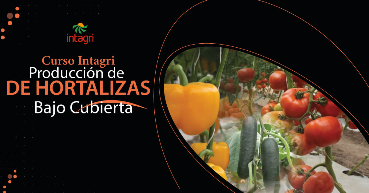 Curso Intagri de Producción de Hortalizas bajo Cubierta - Información | Intagri S.C.