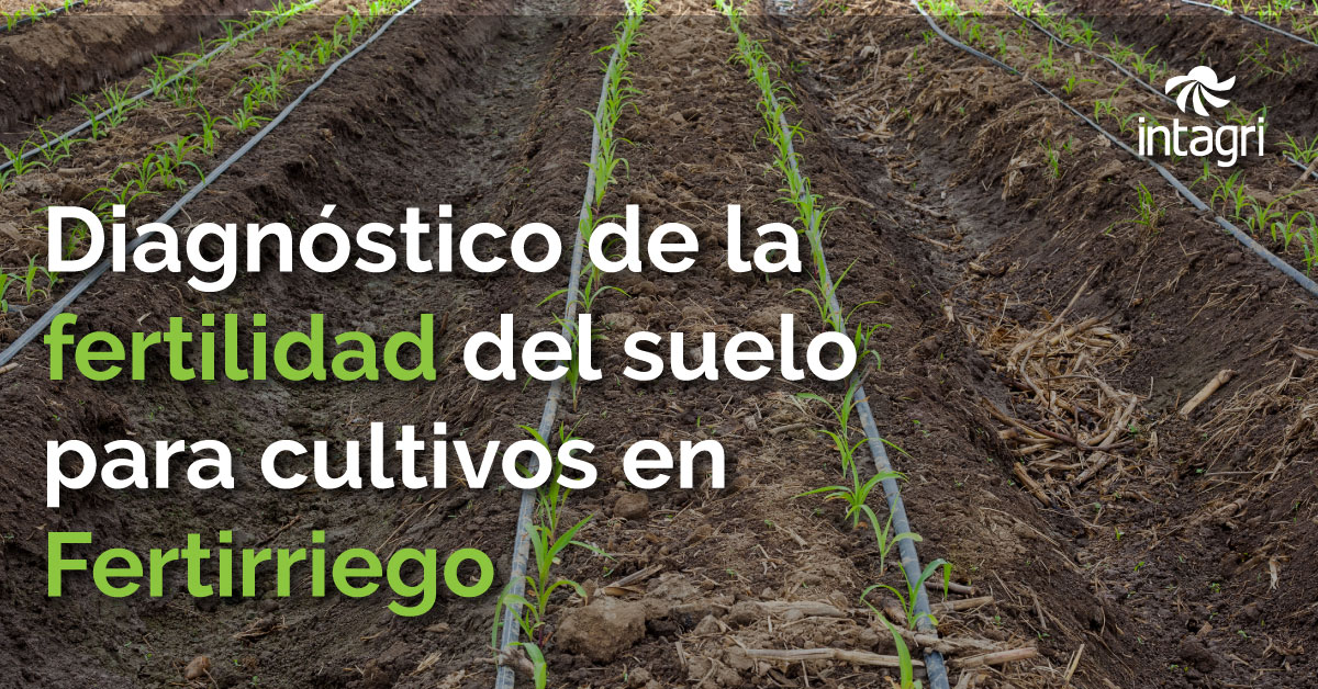 Diagnóstico de la Fertilidad del Suelo para Cultivos en Fertirriego | Intagri S.C.