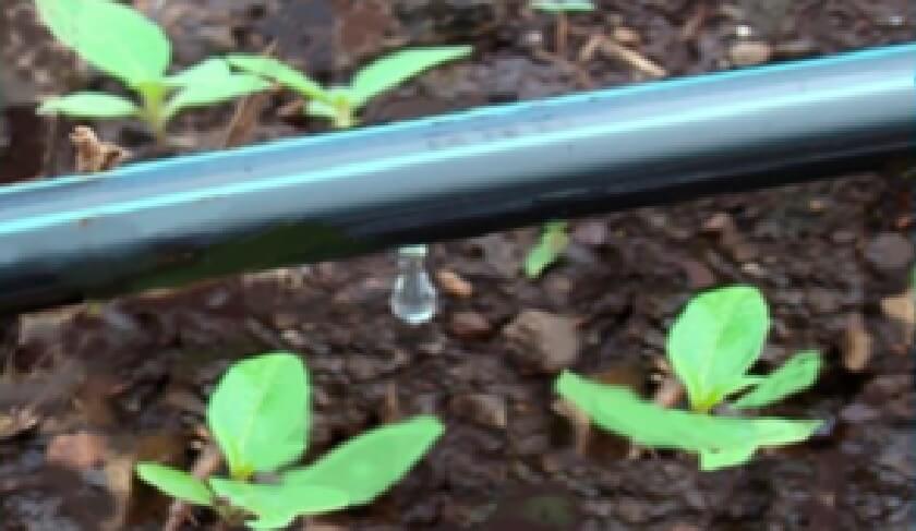 Importancia de la Evaluación de la Eficiencia de los Sistemas de Riego ...