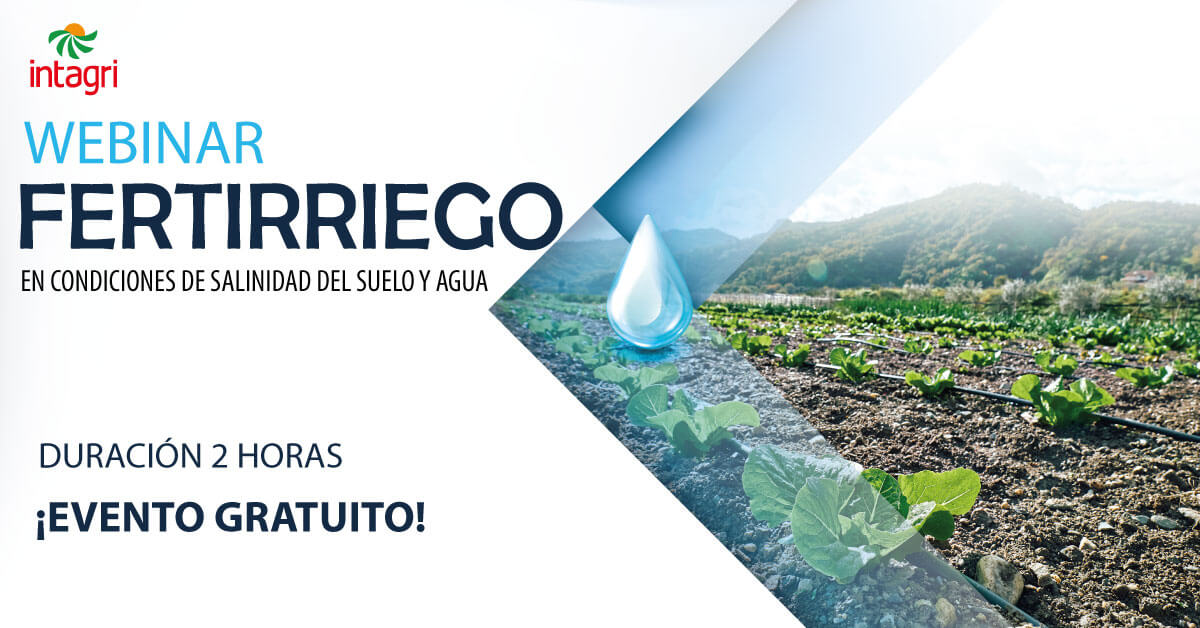 Webinar online: Fertirriego en condiciones de salinidad del suelo y agua - Información | Intagri ...