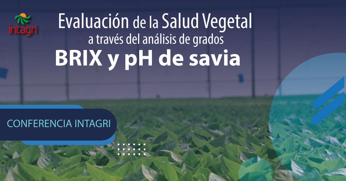 Curso Online sobre Evaluación de la salud vegetal a través del análisis ...