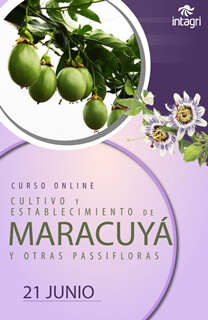 Intagri - Cursos Agrícolas - Artículos de agronomía