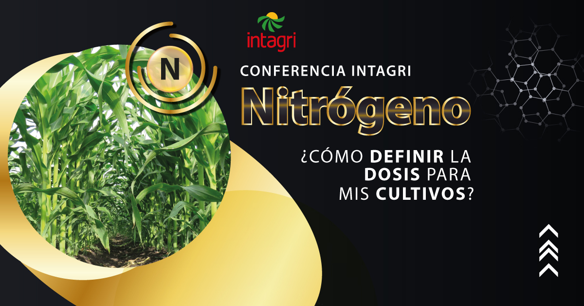 Curso Virtual Nitrógeno ¿Cómo definir la dosis para mis cultivos ...