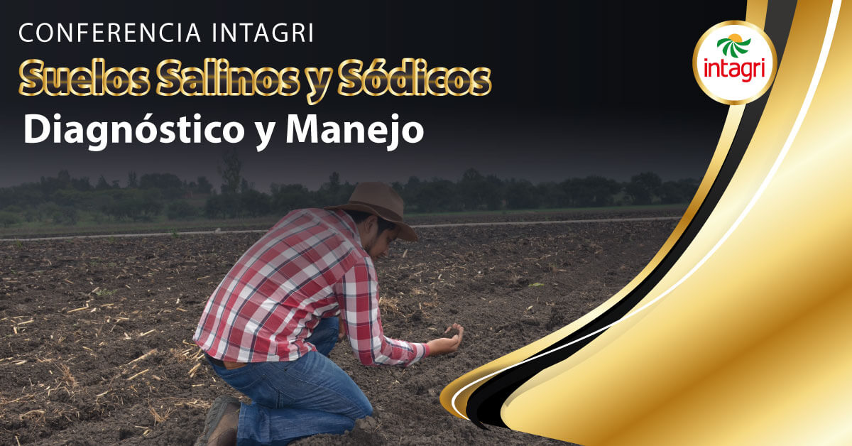 Curso Virtual Intagri Suelos Salinos y Sódicos, Diagnóstico y Manejo - Información | Intagri S.C.